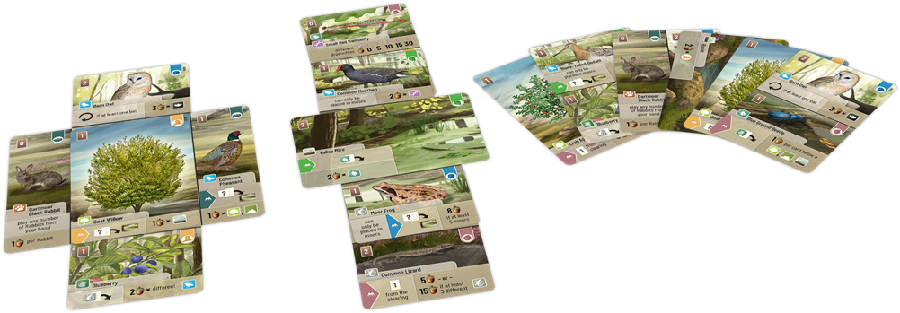 Forest Shuffle - Dartmoor (Engelse versie) - kopen bij Spellenrijk.nl